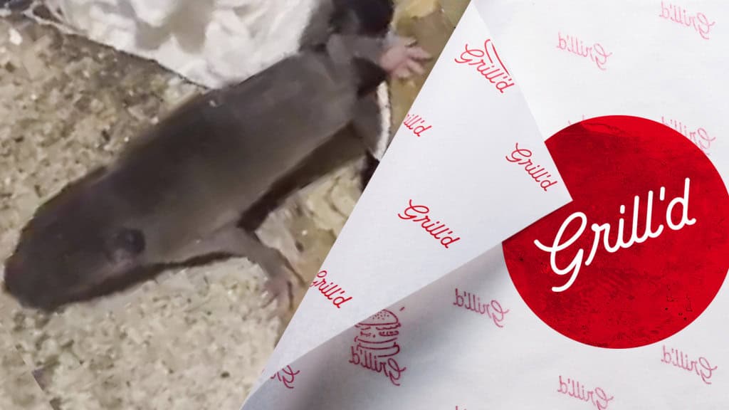 A festering scandal: Our food safety system falls well short - Food ...