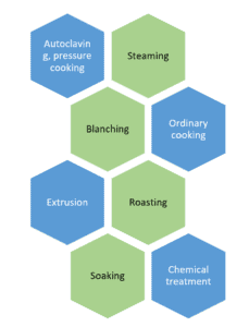 Are Anti Nutritional Factors killing your absorption of nutrients