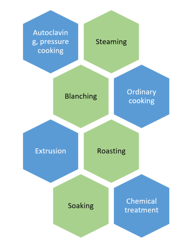 Are Anti Nutritional Factors killing your absorption of nutrients