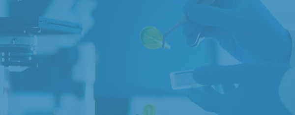 ROOT CAUSE ANALYSIS - Food Safety Works