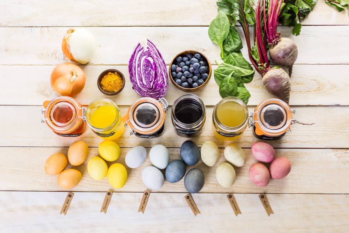 Colour – The Unspoken Language of Food - Food Safety Works