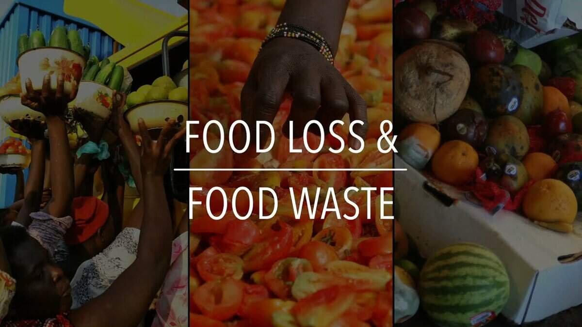 FSSC 22000: FOOD LOSS AND WASTE MANAGEMENT - Food Safety Works